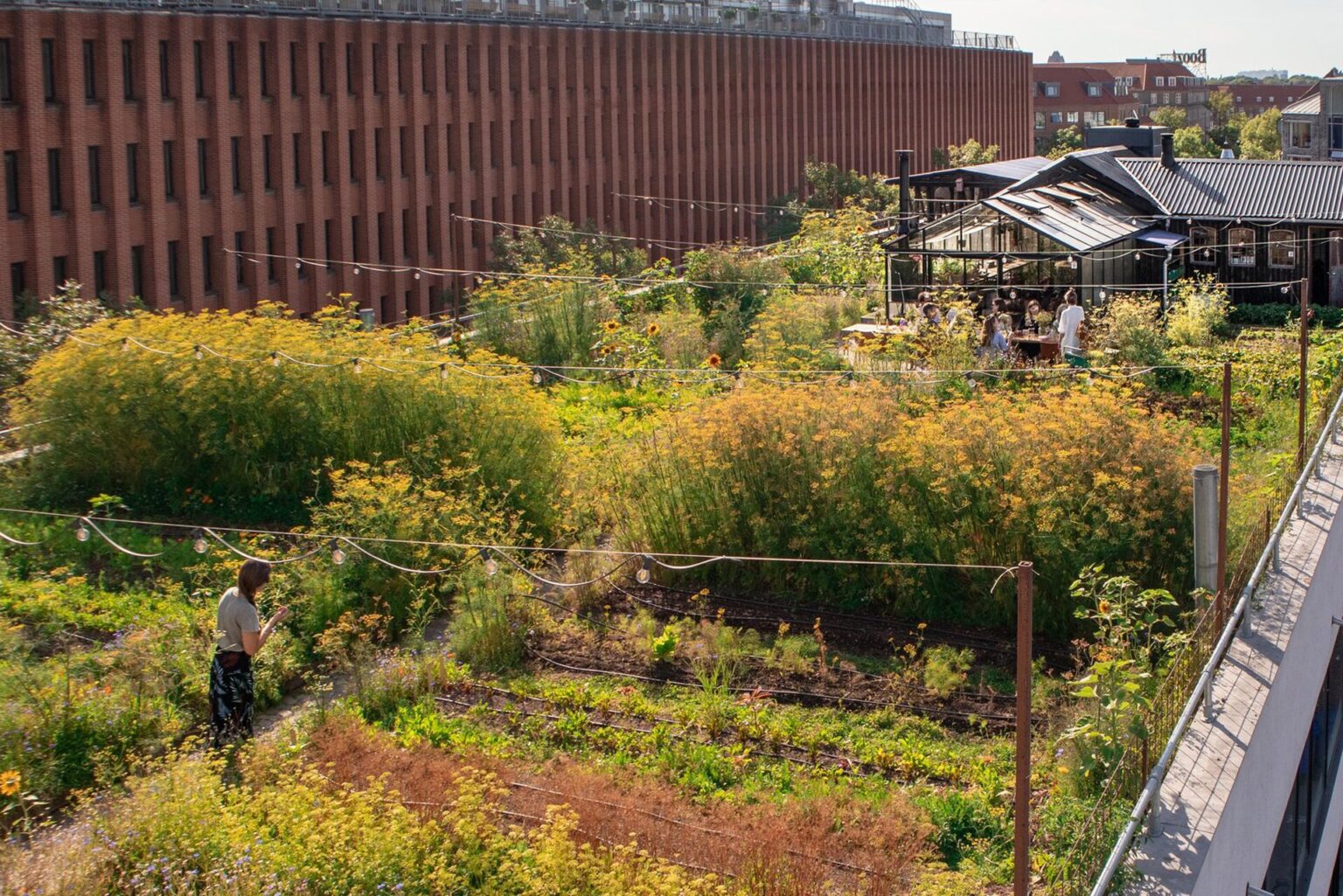 Copenhagen achieves EarthCheck Sustainable Destination certification ...